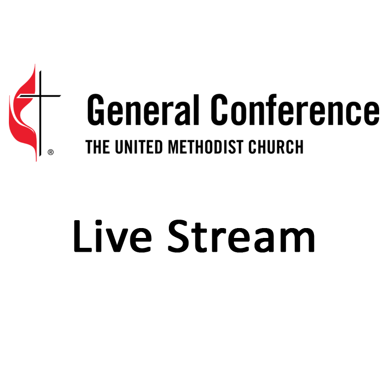 2019 General Conference - South Carolina UMC