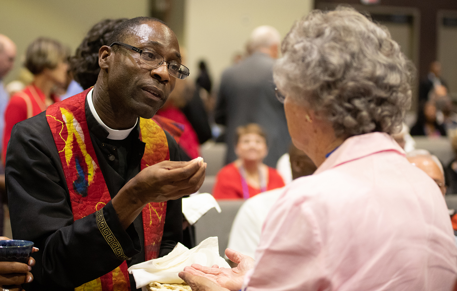 South Carolina Annual Conference endorses nomination of Rev. Nelson for ...